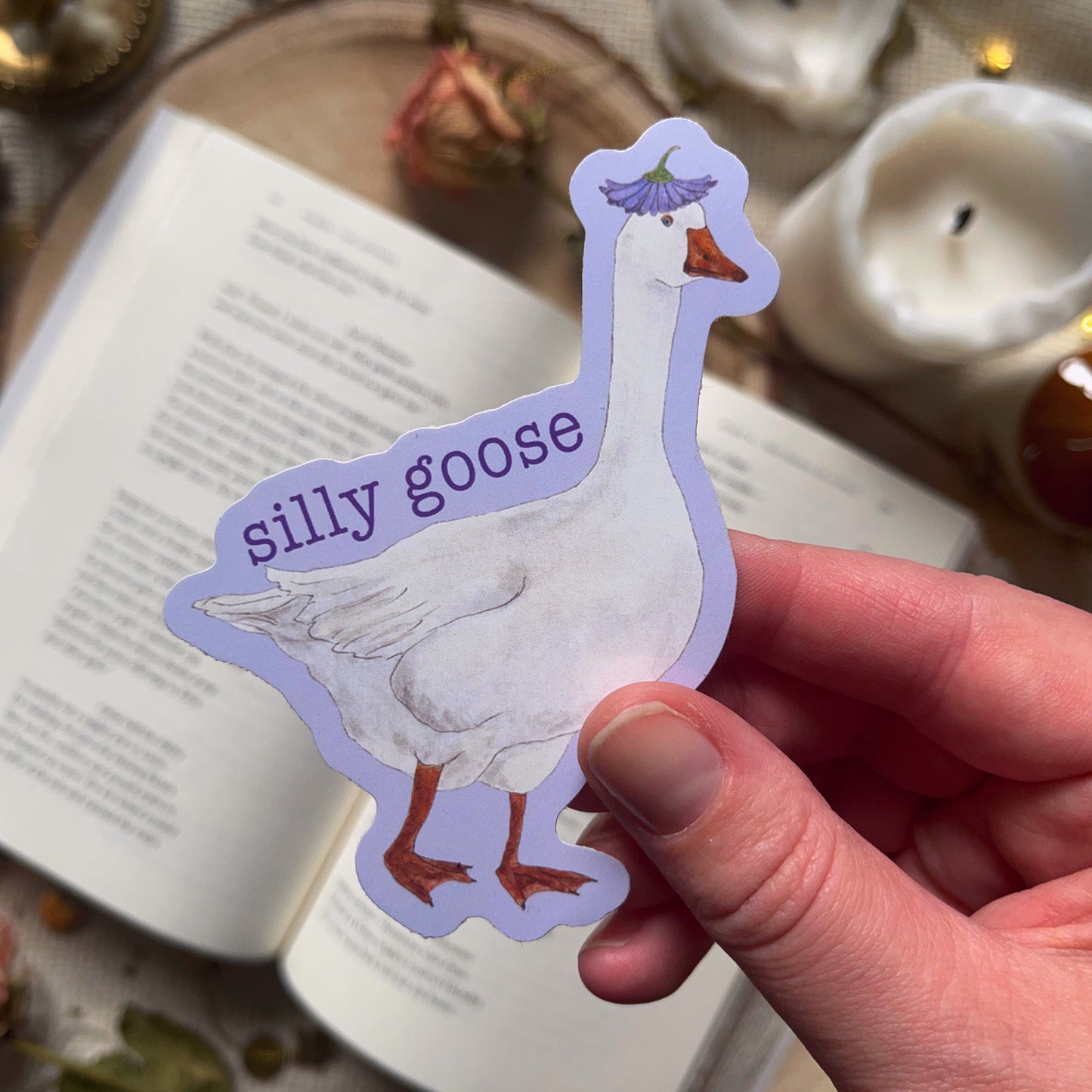 Silly Goose Sticker – The Curious Cactus