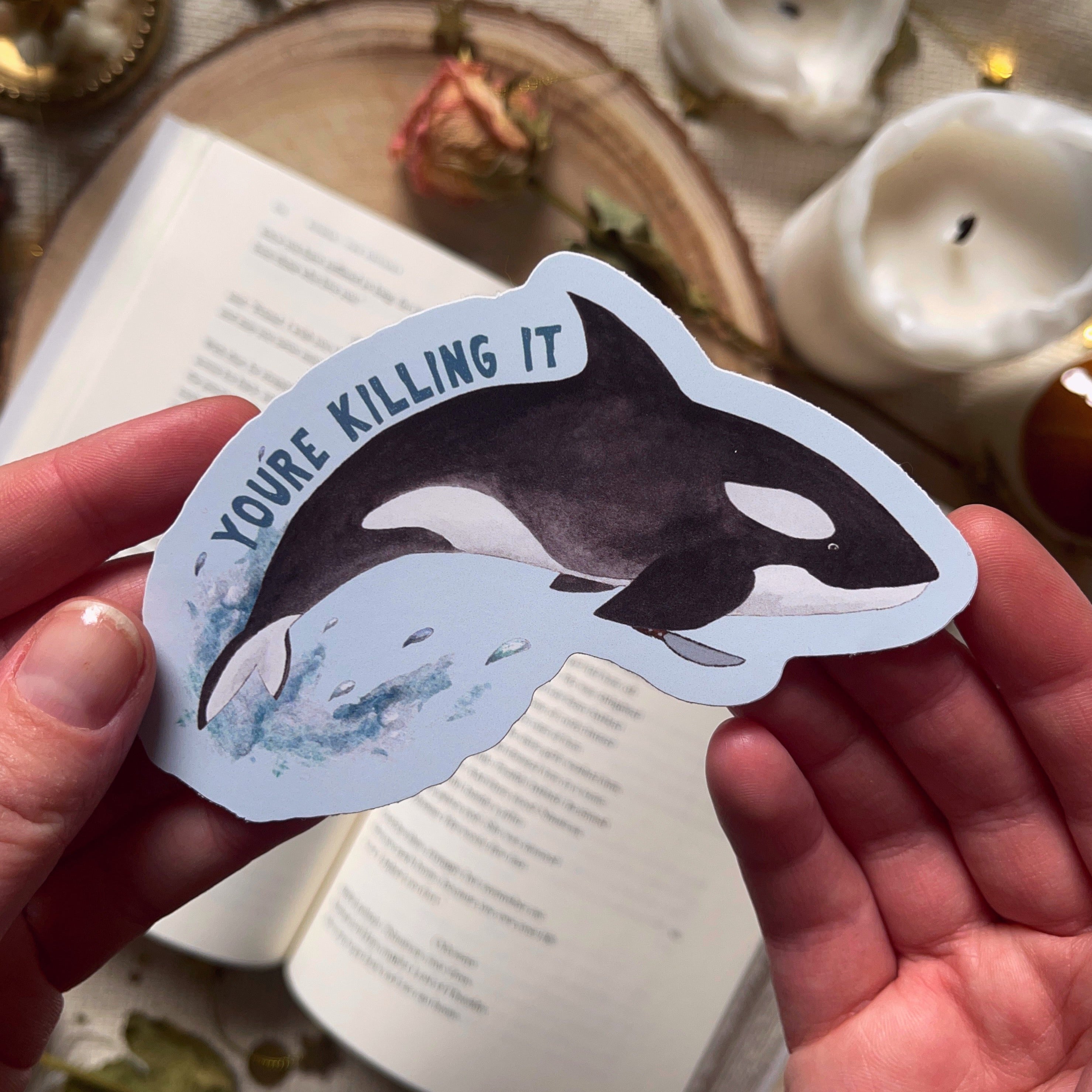 You're Killing It Orca Sticker – The Curious Cactus
